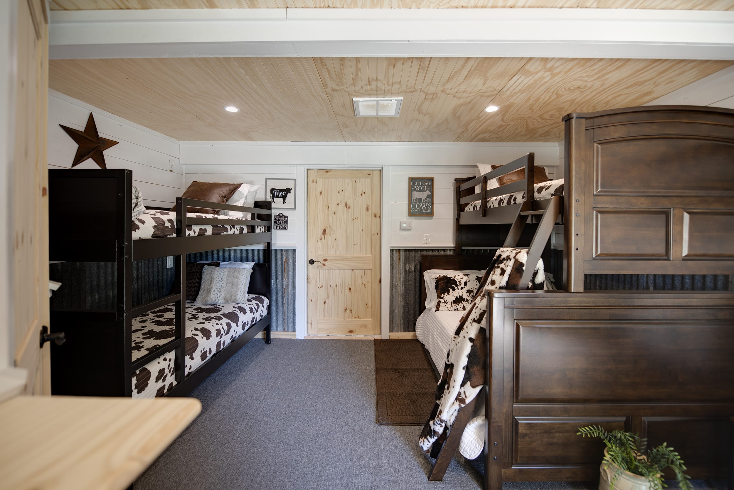 Holy Cow | Solid Rock Ranch